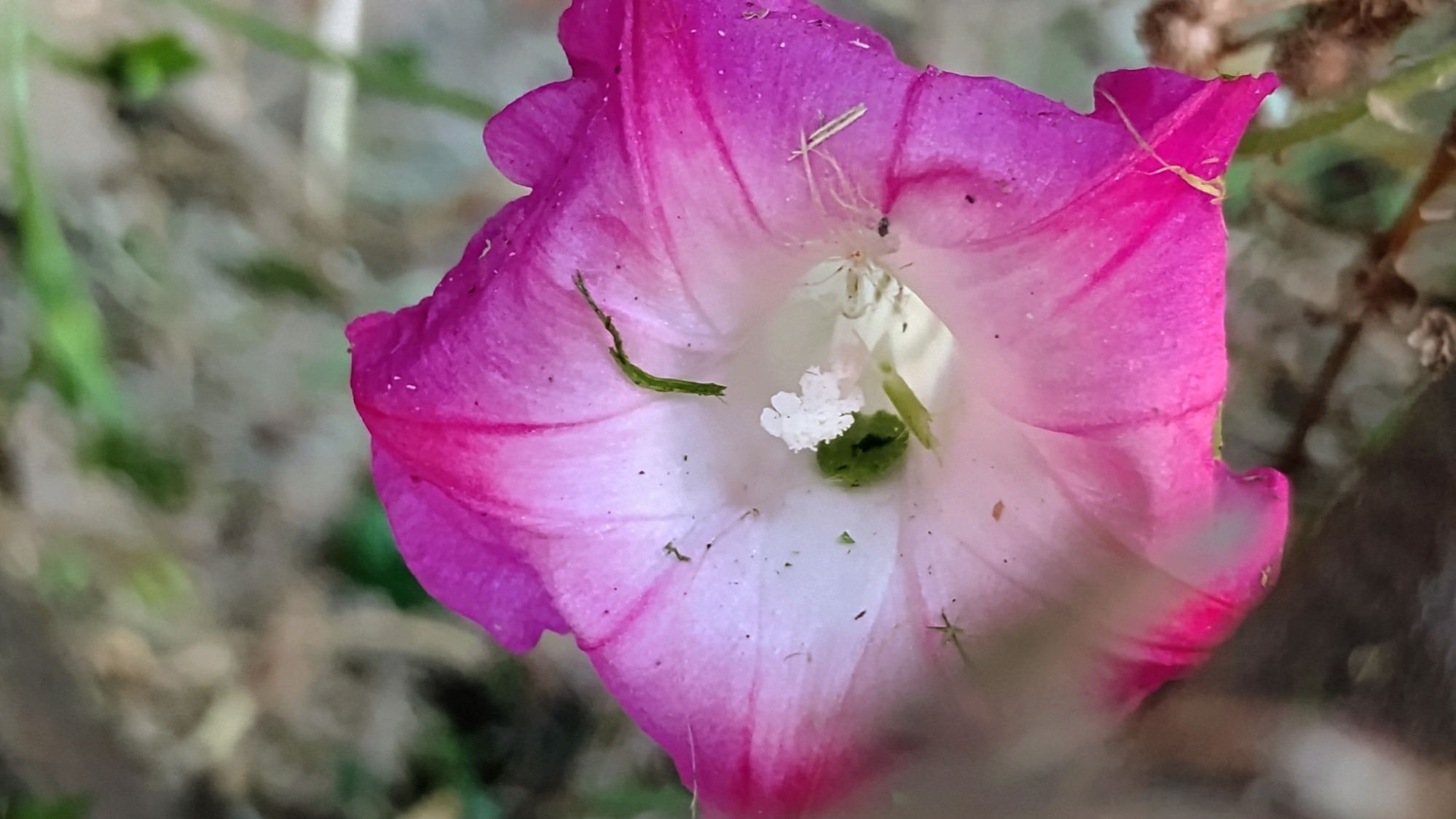 More Love Monday 💓 🫶🏼💮 – Goals & Good Vibes